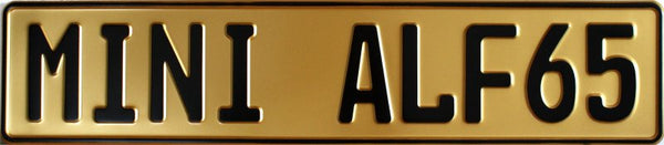 Create your own customized European license plate – GermanPlates.com